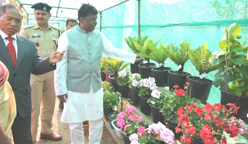 Governor inaugurated the 2nd Flower Festival “Colours of Spring” - News ...