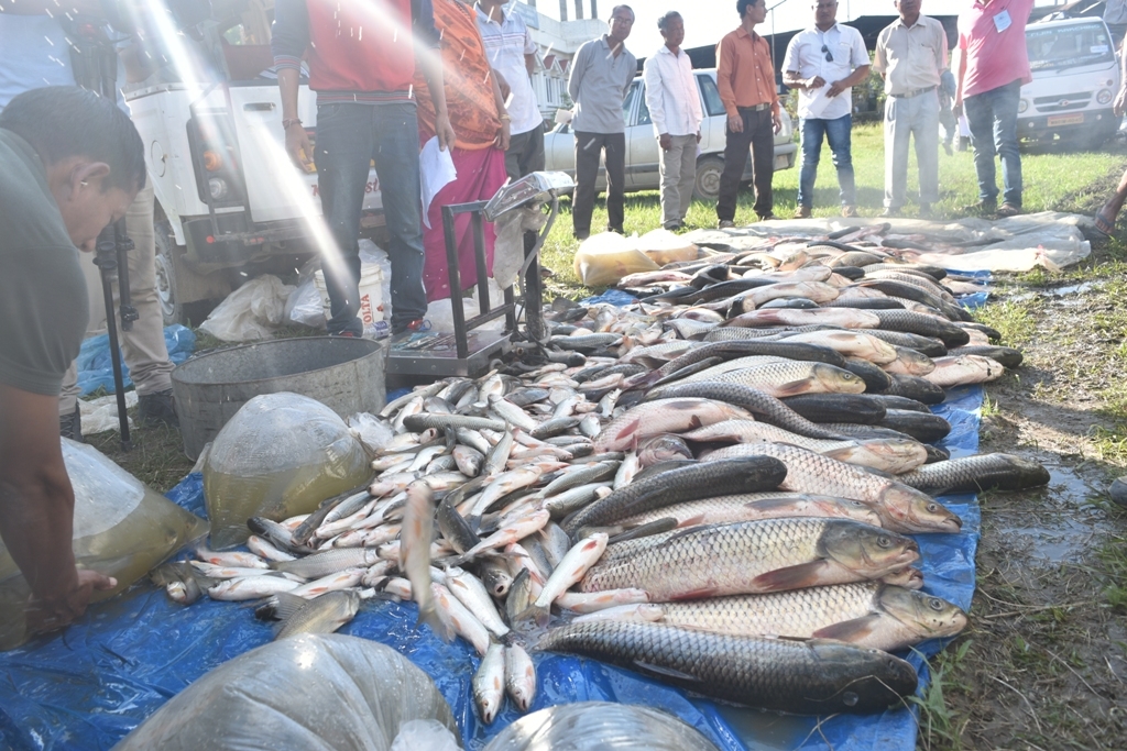 More than 85’000 kgs of fish produce at The Annual Fish Fair cum Fish ...