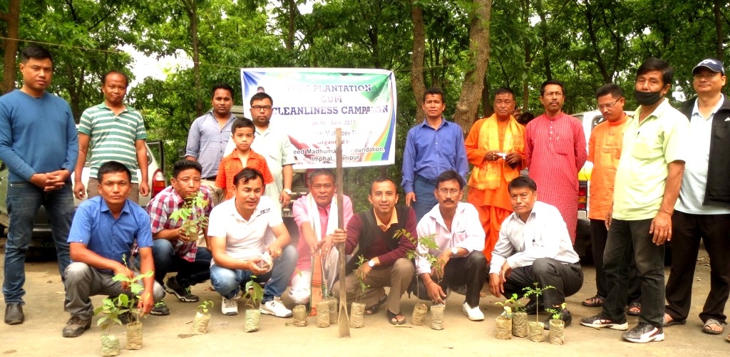 Tree plantation is the only weapon to fight climate change - Chief ...