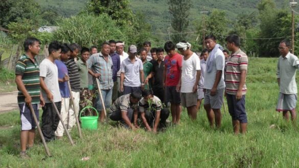 Tree plantation at Machengpat, Andro - News from Manipur - Imphal Times