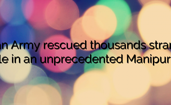 KADUCO and AMUCO lead tree plantation drive in Tangjeng - News from ...