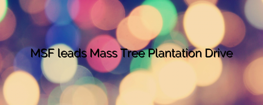 MSF leads Mass Tree Plantation Drive - News from Manipur - Imphal Times