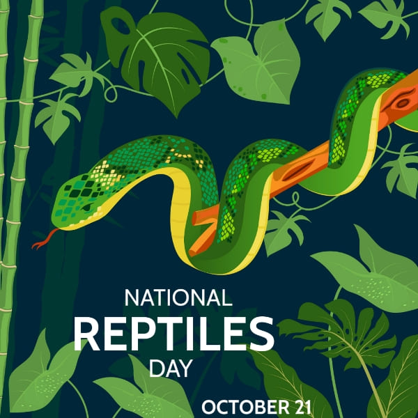 Reptile Awareness Day for Ecosystem Restoration - News from Manipur ...